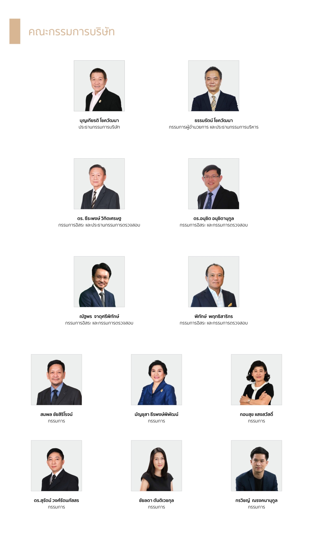 Our Structure – ICC INTERNATIONAL PLC.