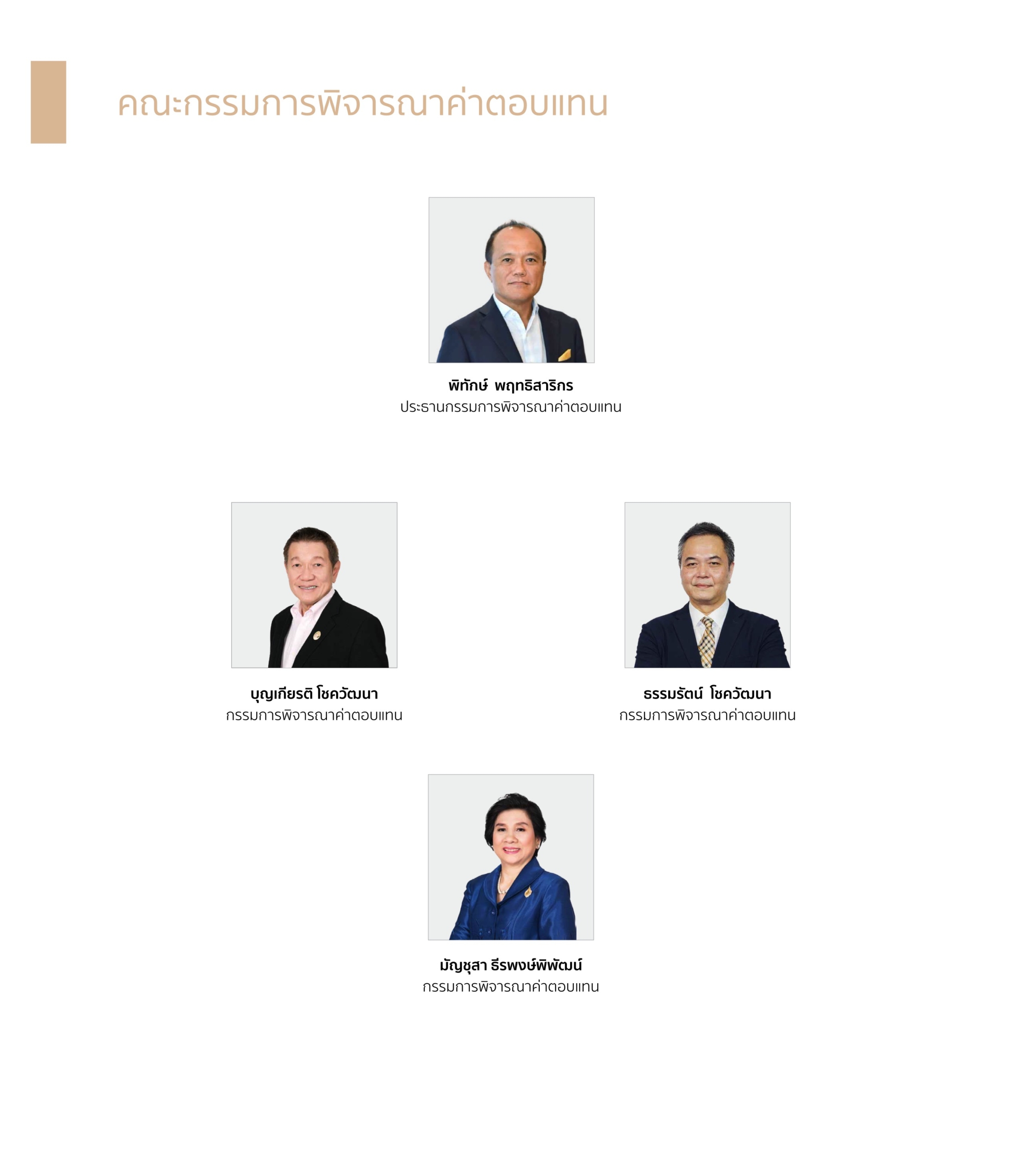 Our Structure – ICC INTERNATIONAL PLC.