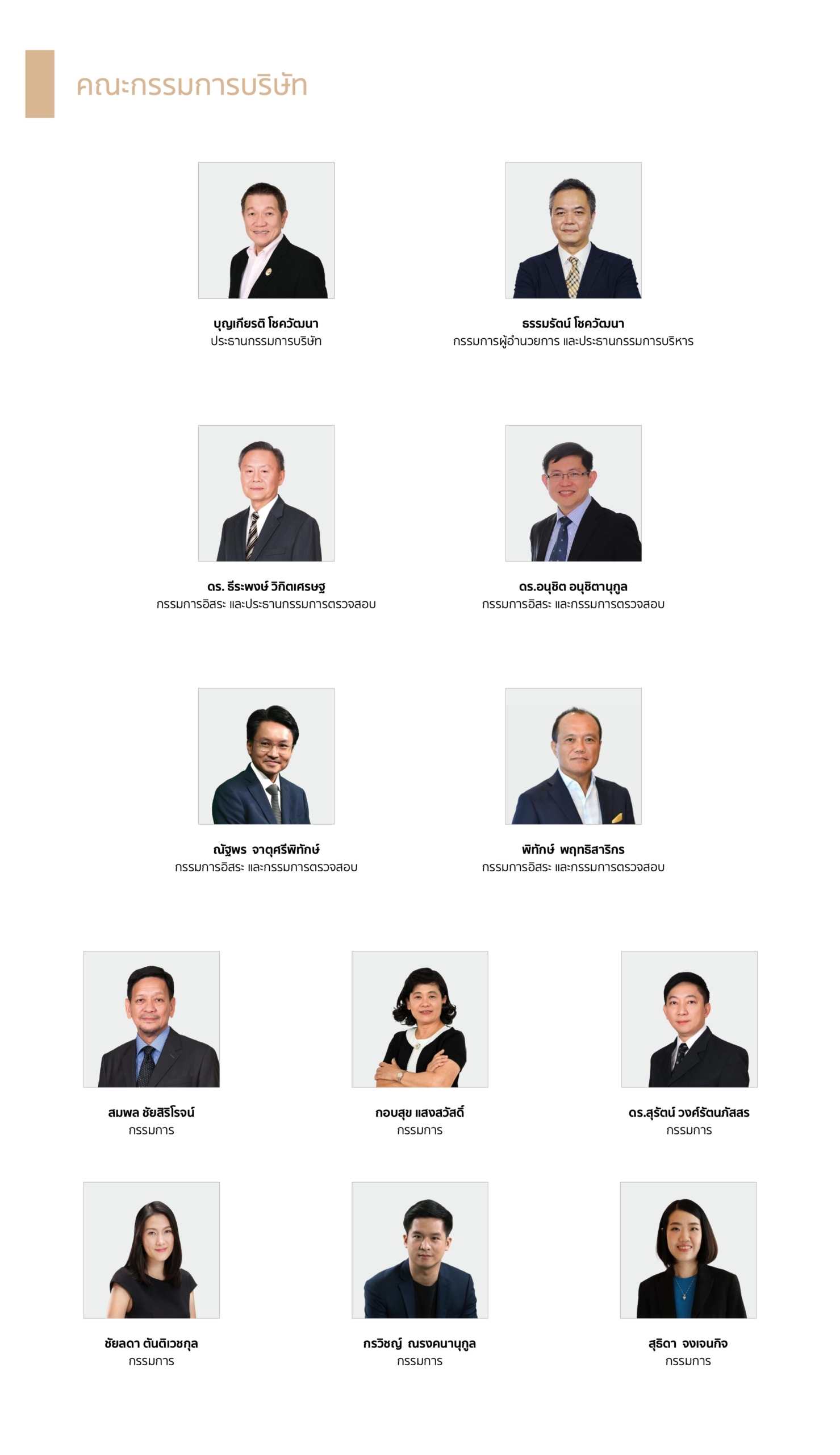 Our Structure – ICC INTERNATIONAL PLC.