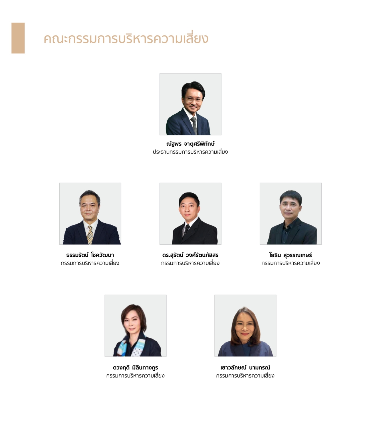 Our Structure – ICC INTERNATIONAL PLC.